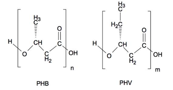 2025深圳国际智慧航道展